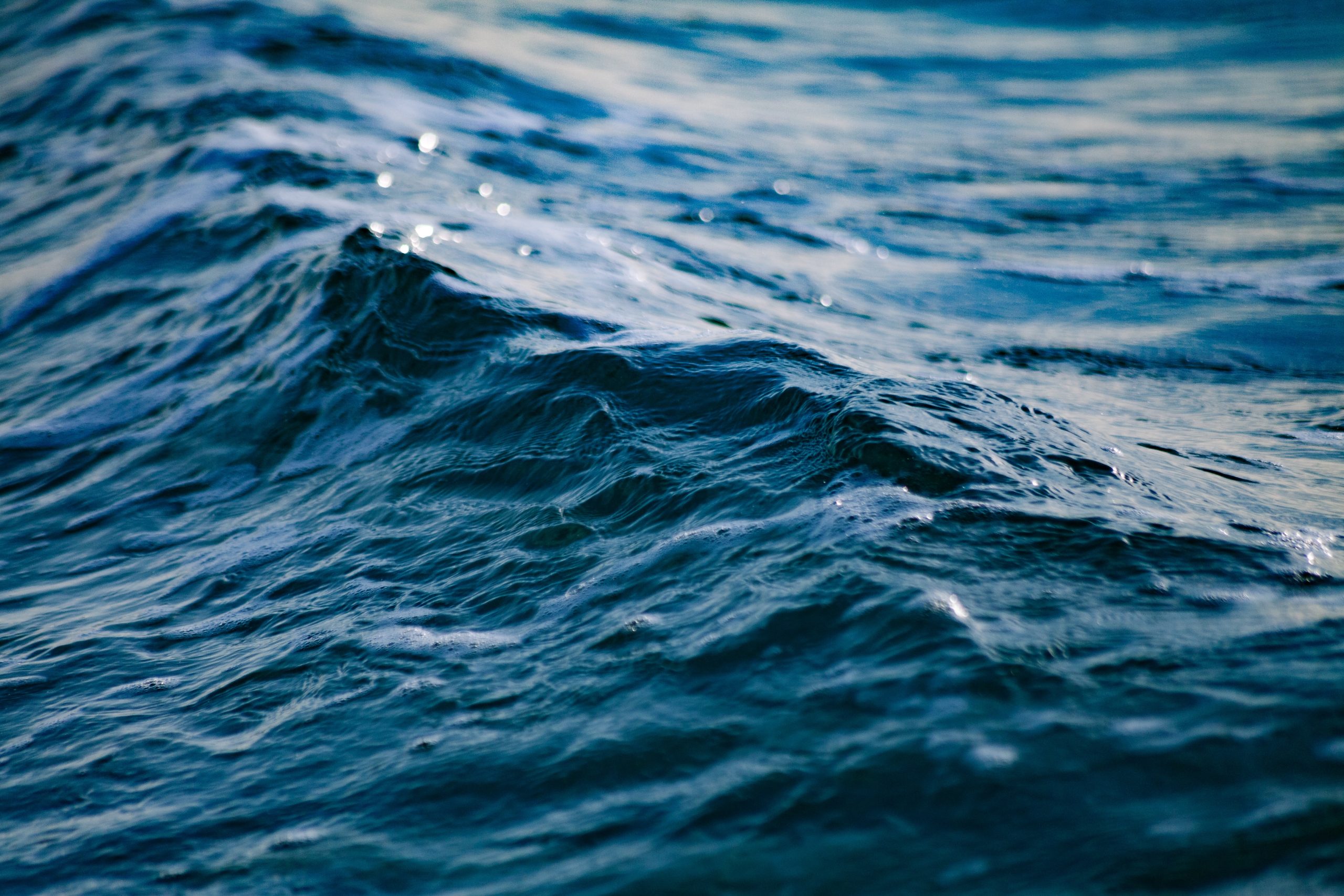 New water legislation (Bill 20): the government reiterates its ...