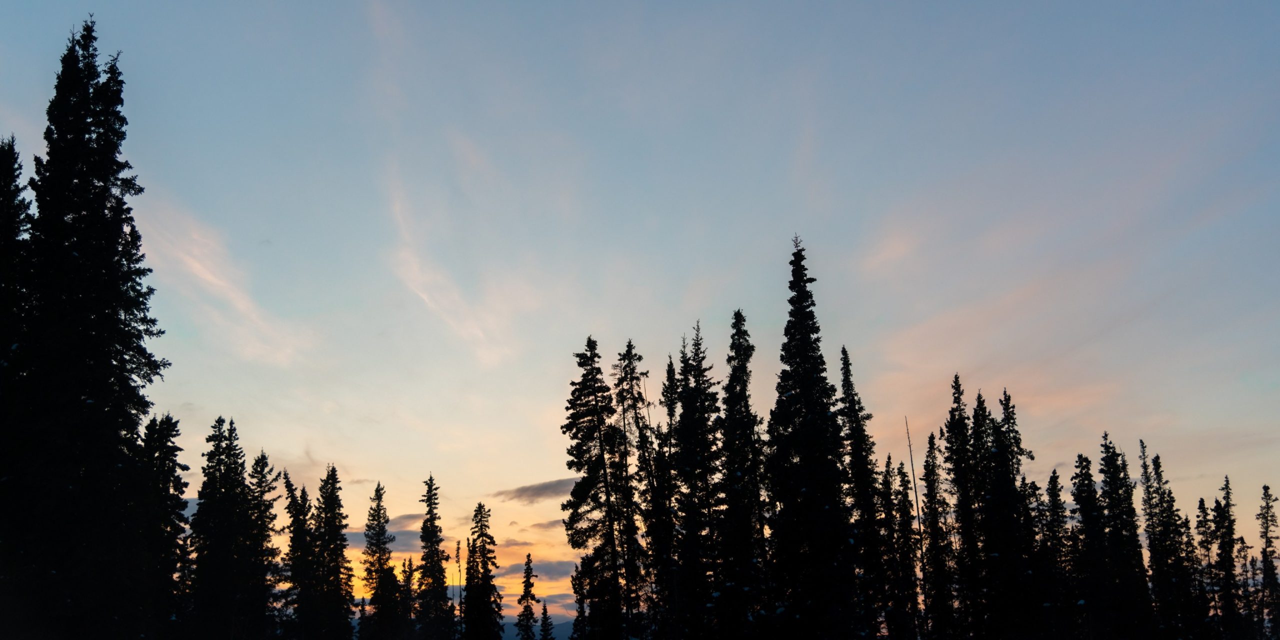 L’obligation de consulter et d’accommoder les peuples autochtones dans ...